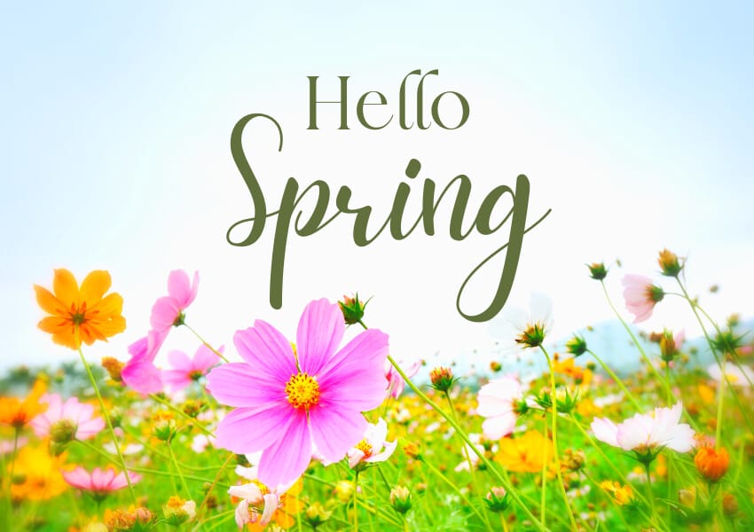 First Day of Spring - DeKalb County Tax Commissioner’s Office